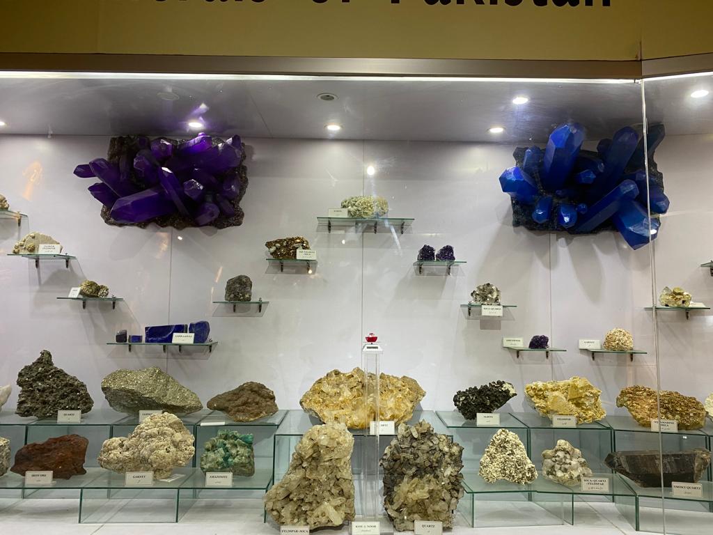 Student visit to Pakistan Museum of Natural History - National ...